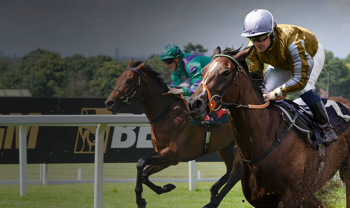 Aintree Grand National Meeting: Day 2 Tips | BetMGM UK